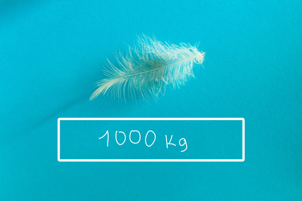 Combien De Kilos Dans Une Tonne Nos Astuces De Conversion