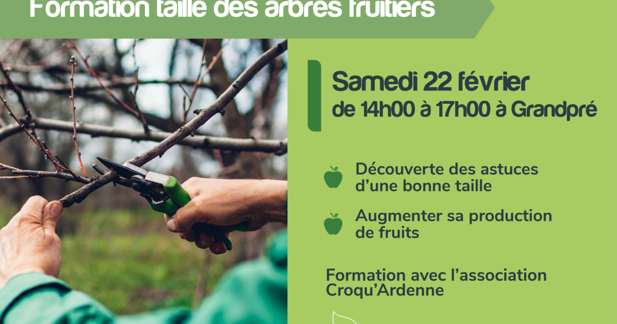 Formation : taille des arbres fruitiers