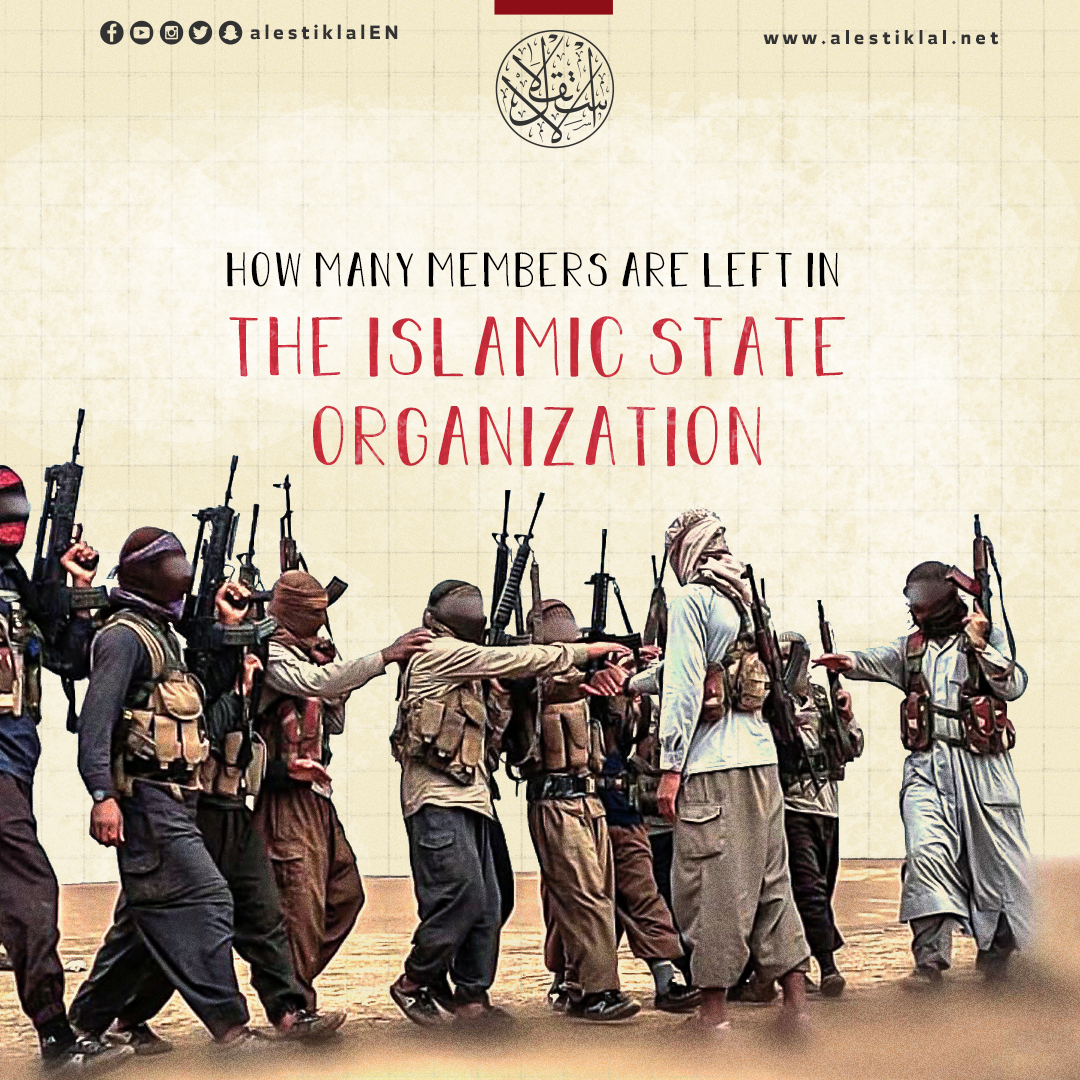 How Many Members Are Left in the Islamic State Organization ...