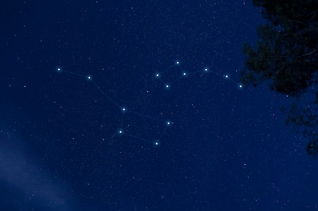 Descubre el Significado de una Estrella Fugaz en el Cielo Nocturno