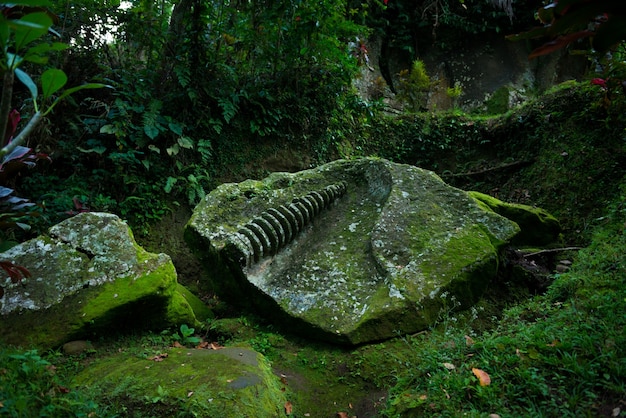 Características de la Era Proterozoica: Descubre sus rasgos distintivos