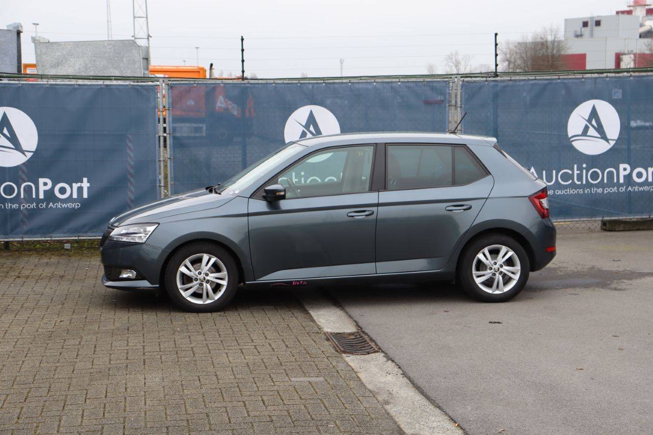 Passenger car Skoda Fabia Petrol 95 hp 2021 (Margin) | Auction...