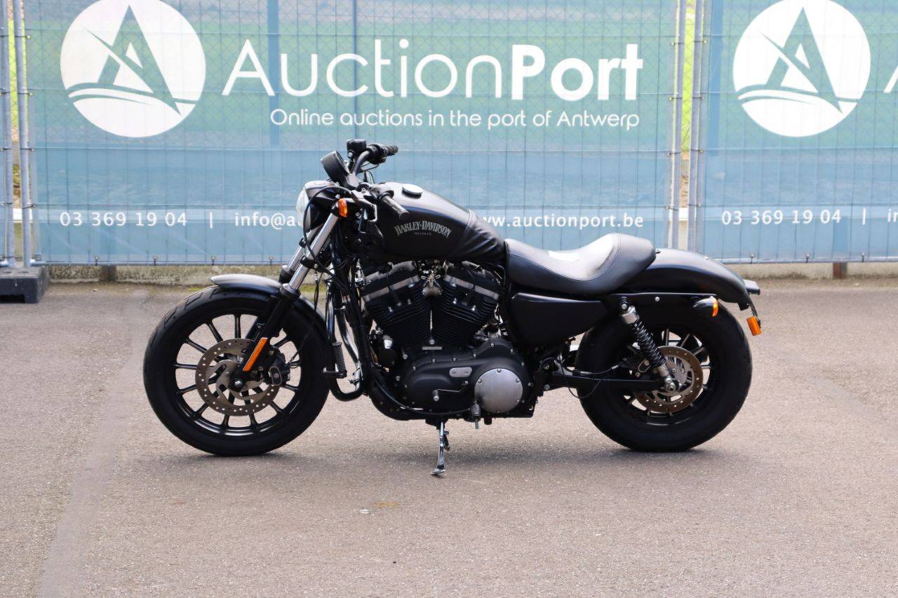 Harley-Davidson Sportster 883N Iron Benzine 2013 veiling | Auc...
