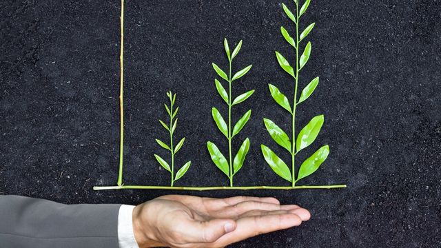RSE et management : définition et conseils - Bluenove