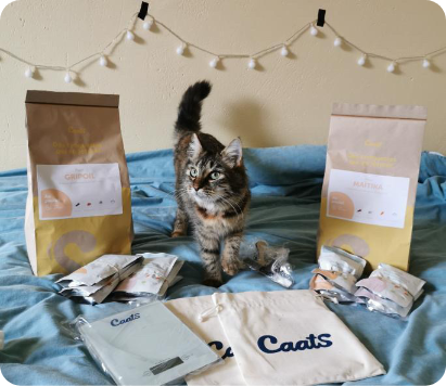 Croquette sur Mesure pour Chat : Alimentation Mixte Personnalisée