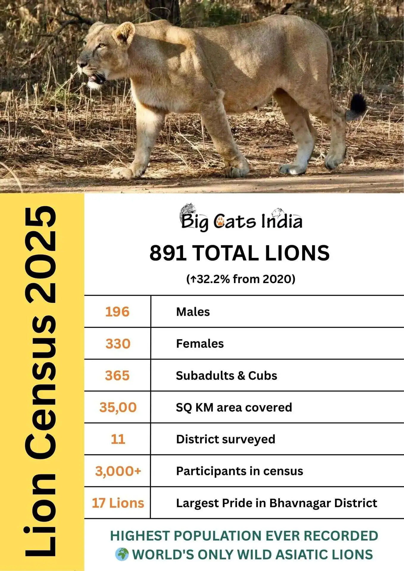 Lion Census 2025 - Lion Population in India