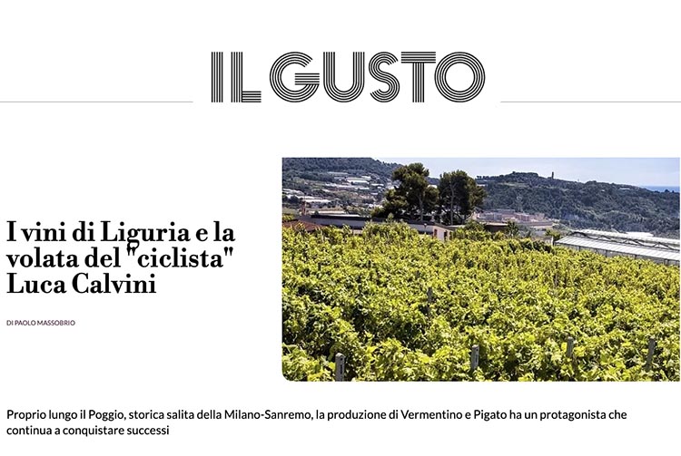 Sul Poggio di Sanremo i vini di Luca Calvini