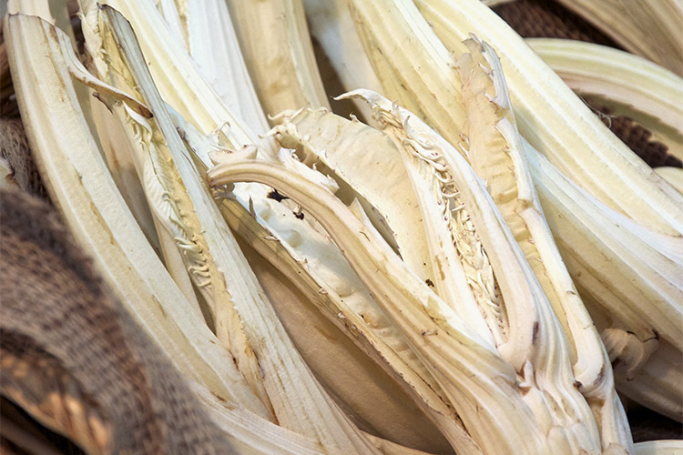 Sformato di cardi alla fiorentina con salsa di pecorino