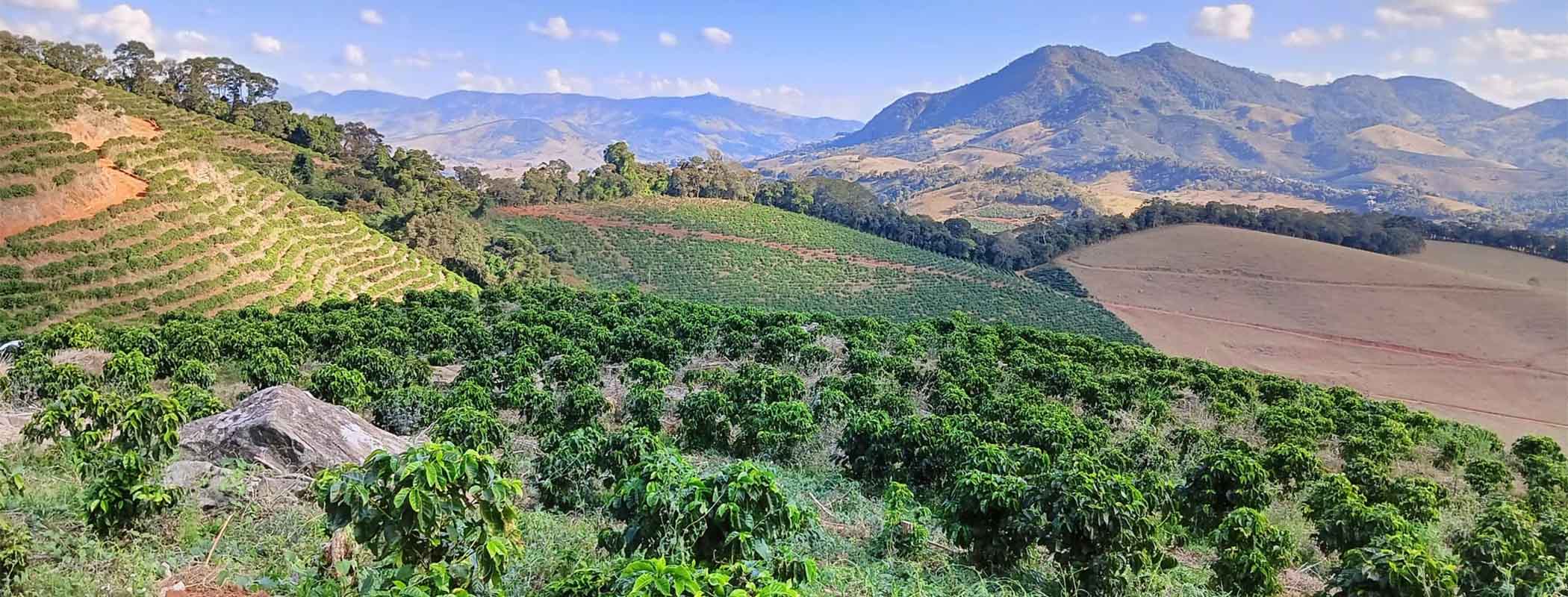 Francesca Di Leo e Luca Roncadin