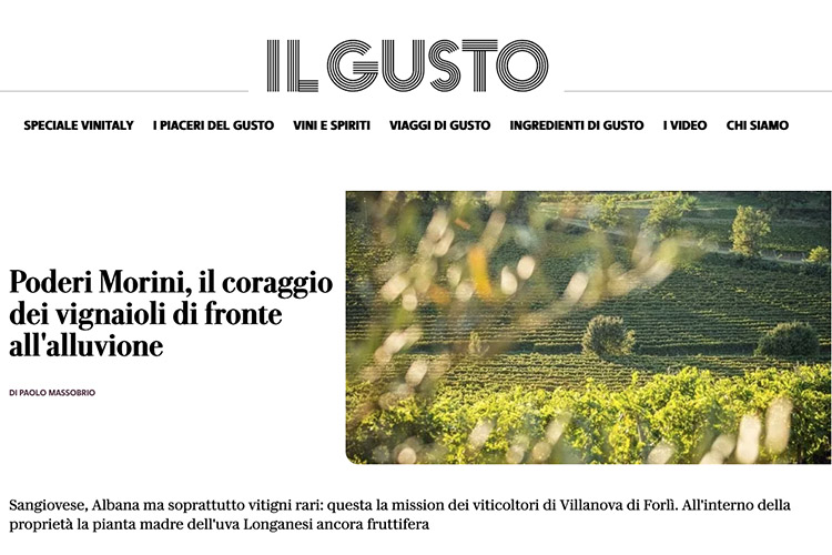 Poderi Morini e i vitigni rari autoctoni della Romagna