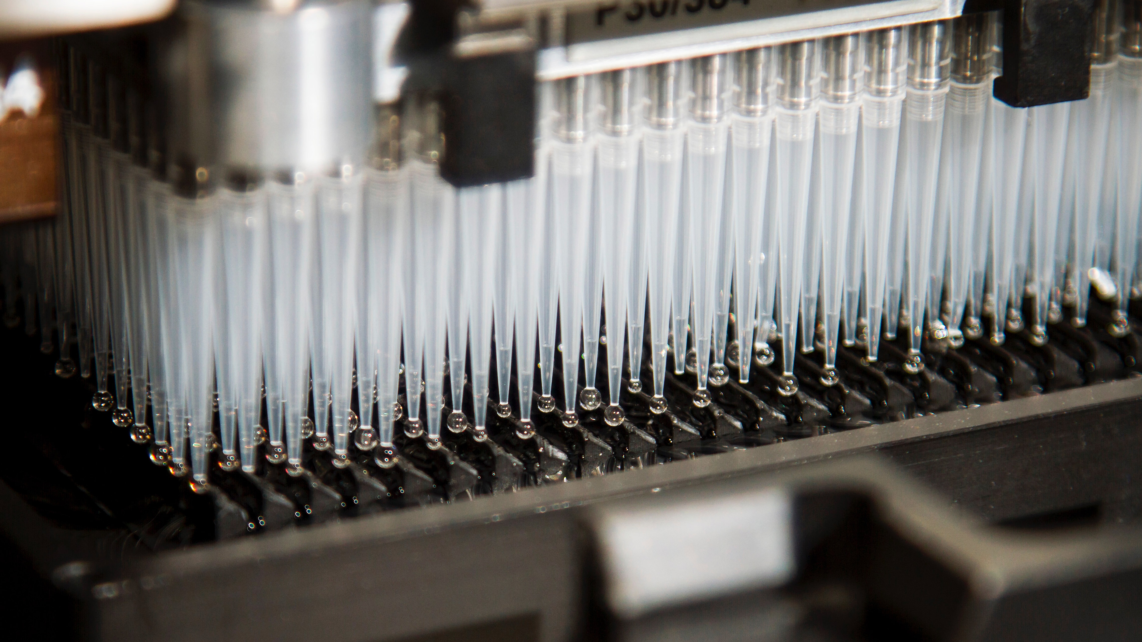 Environmental impact declarations and sustainable management system ...