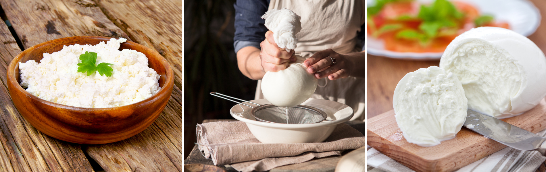 3 fromages à réaliser soi-même : mozzarella, ricotta & fromage de chèvre