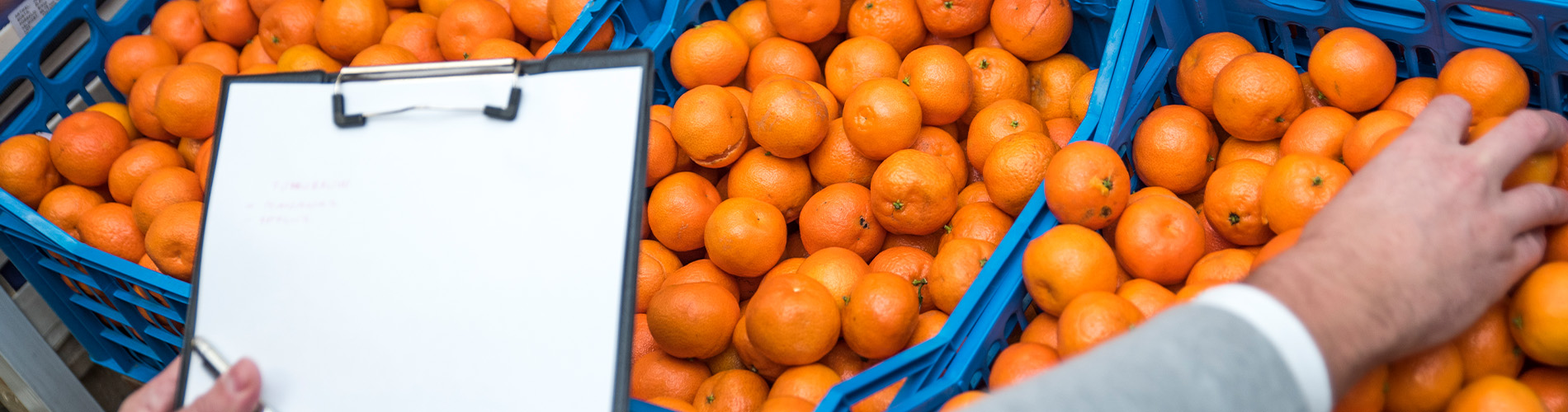 Découvrez le rapport annuel de l’AFSCA