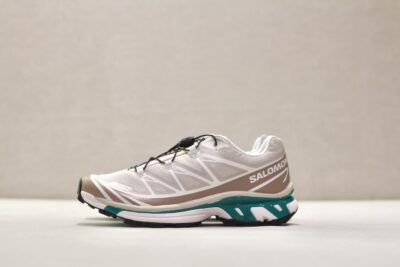 Salomon XT-6 Rainy Day Chinchilla Dygn | Shibuya Quality Store