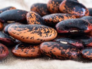 4 types de haricots à ajouter à votre régime alimentaire