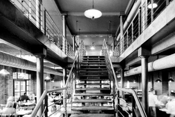 Chumadia, le vrai paradis des carnivores se trouve à Saint-Gilles ...