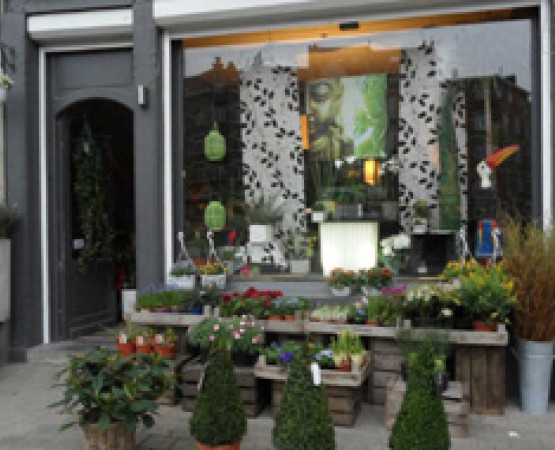 Vert Tige Fleurs, Fleuristes Schaerbeek Bruxelles - Brusselslife.be