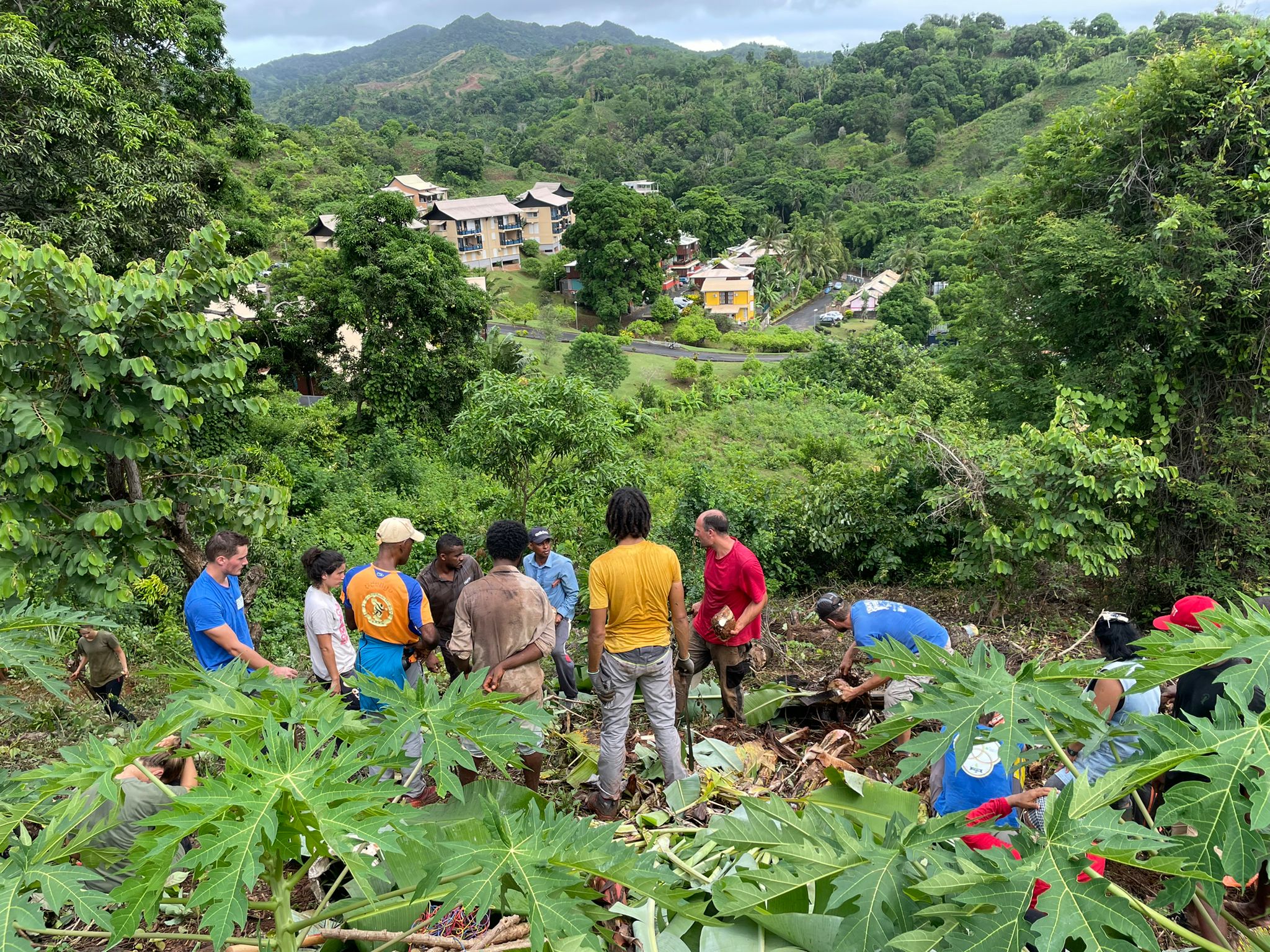CFA-CFPPA de Coconi - Module 2.2 Agriculture durable : valoriser les ...