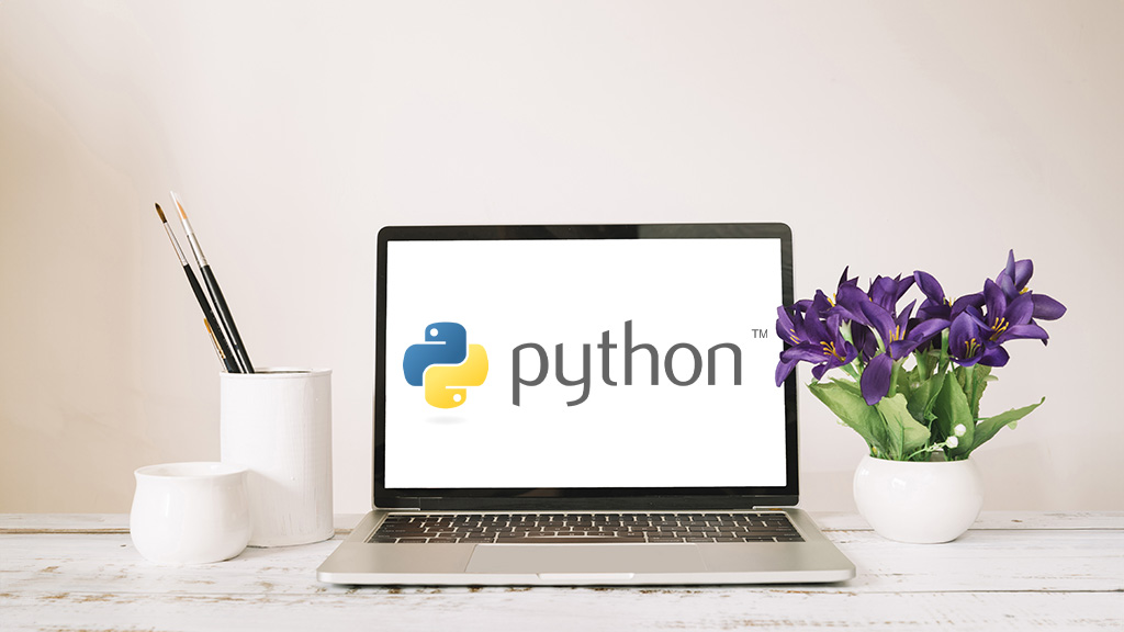 Formation - Big Data | Python pour l'analyse de données