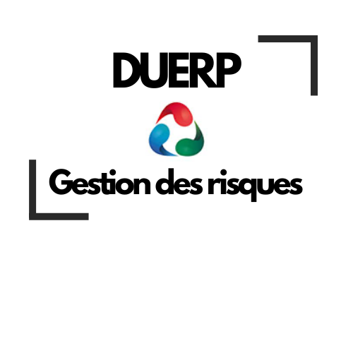 ISRPP - DUERP - GESTION DES RISQUES