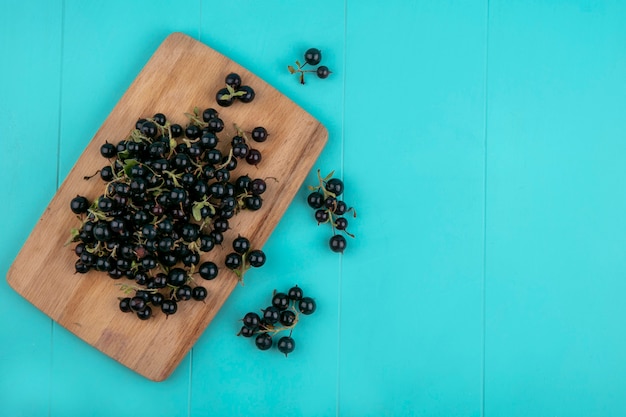 Todo sobre la Fruta Cassis: beneficios, usos y curiosidades