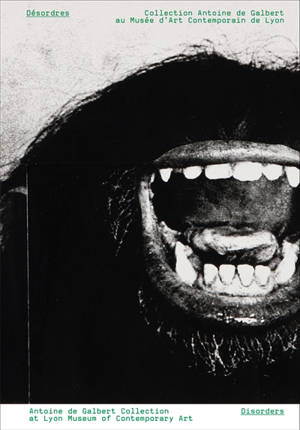 Désordres : collection Antoine de Galbert au Musée d'art contemporain ...