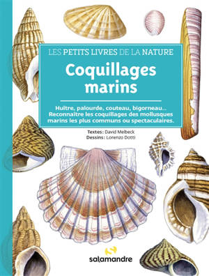 David Melbeck - Coquillages marins : huître, palourde, couteau ...