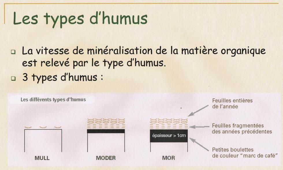 Désultoirement vôtre ! - La Chaslerie