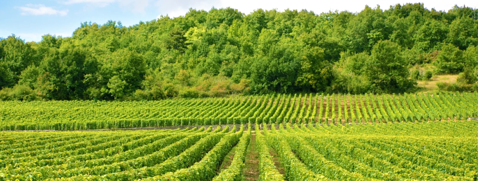 Acheter un appartement Machecoul saint meme avec Noovimo Sud Ouest