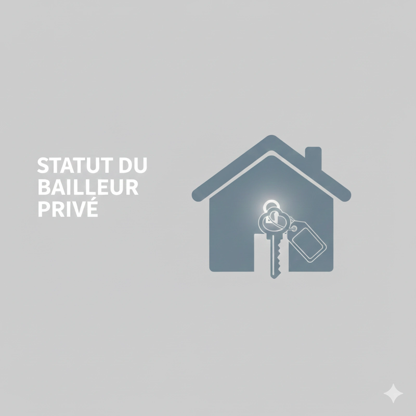 Actualité - Tout savoir sur le statut du bailleur privé