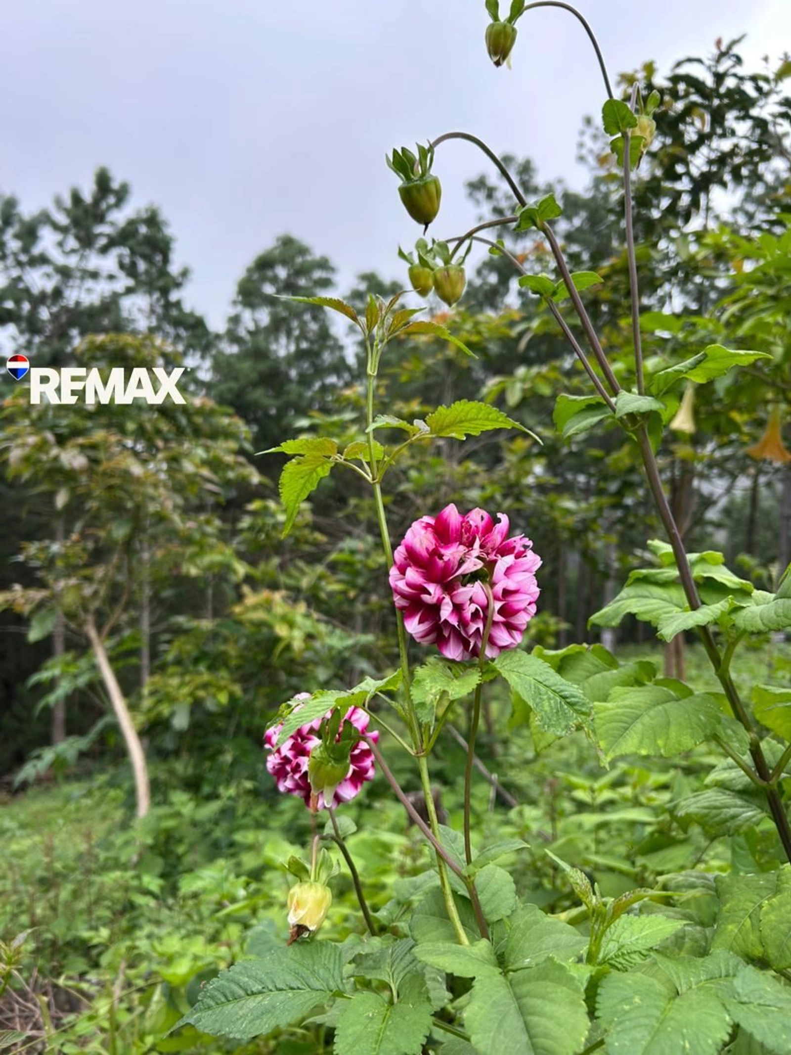 Ground for sale Rio Chiquito $3,400,000