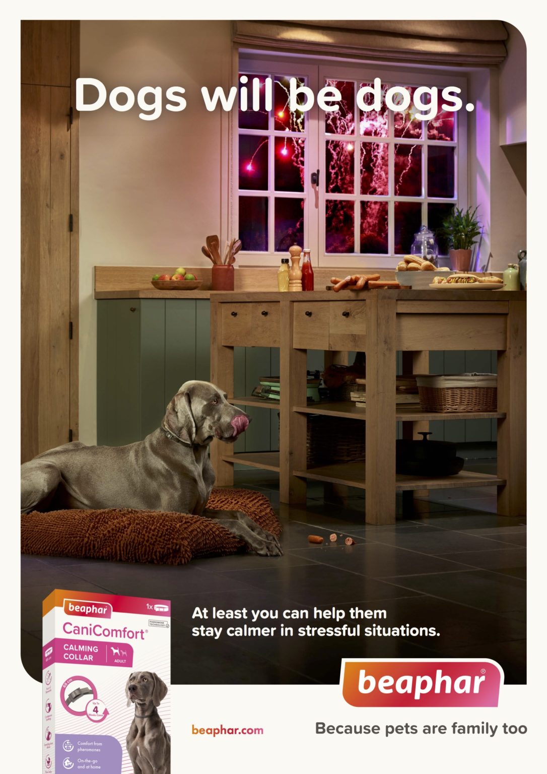 Gutzandglory en Beaphar laten honden hun gekke zelf zijn - PUB