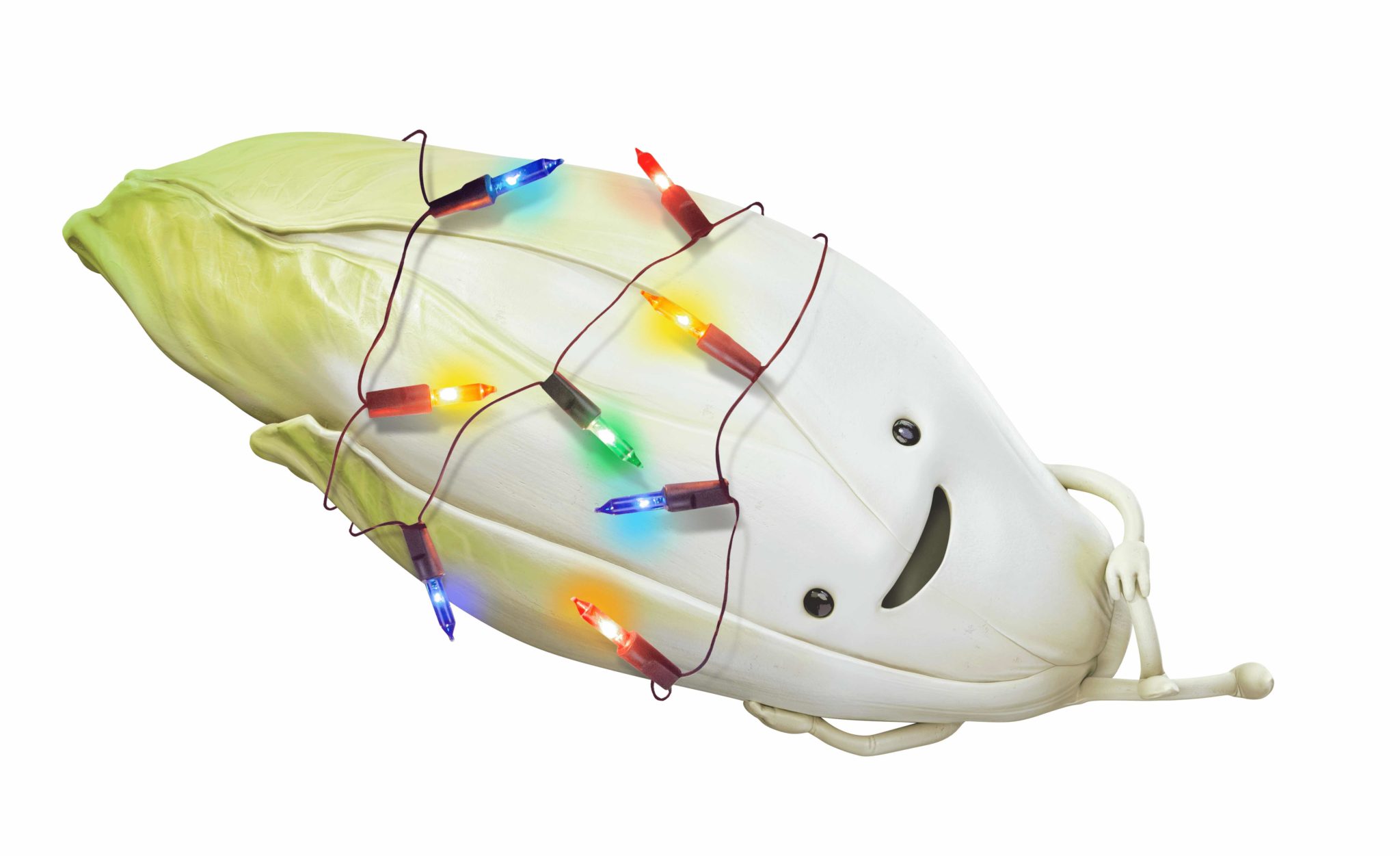 Serviceplan en ALDI vieren eindejaar met Willie Witloof - PUB