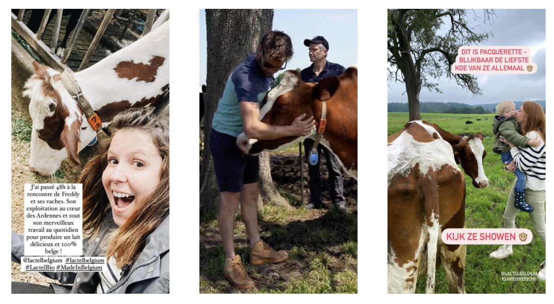 MKKM en Stellar ontdekken het beste van Lactel - PUB