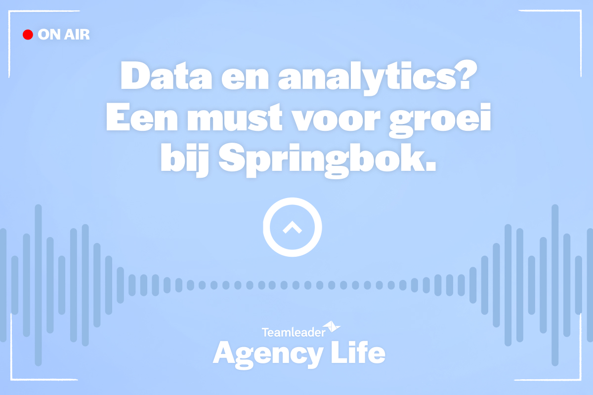 Van Excel naar excellent: Erwin Hendriks (Springbok) over agency ...
