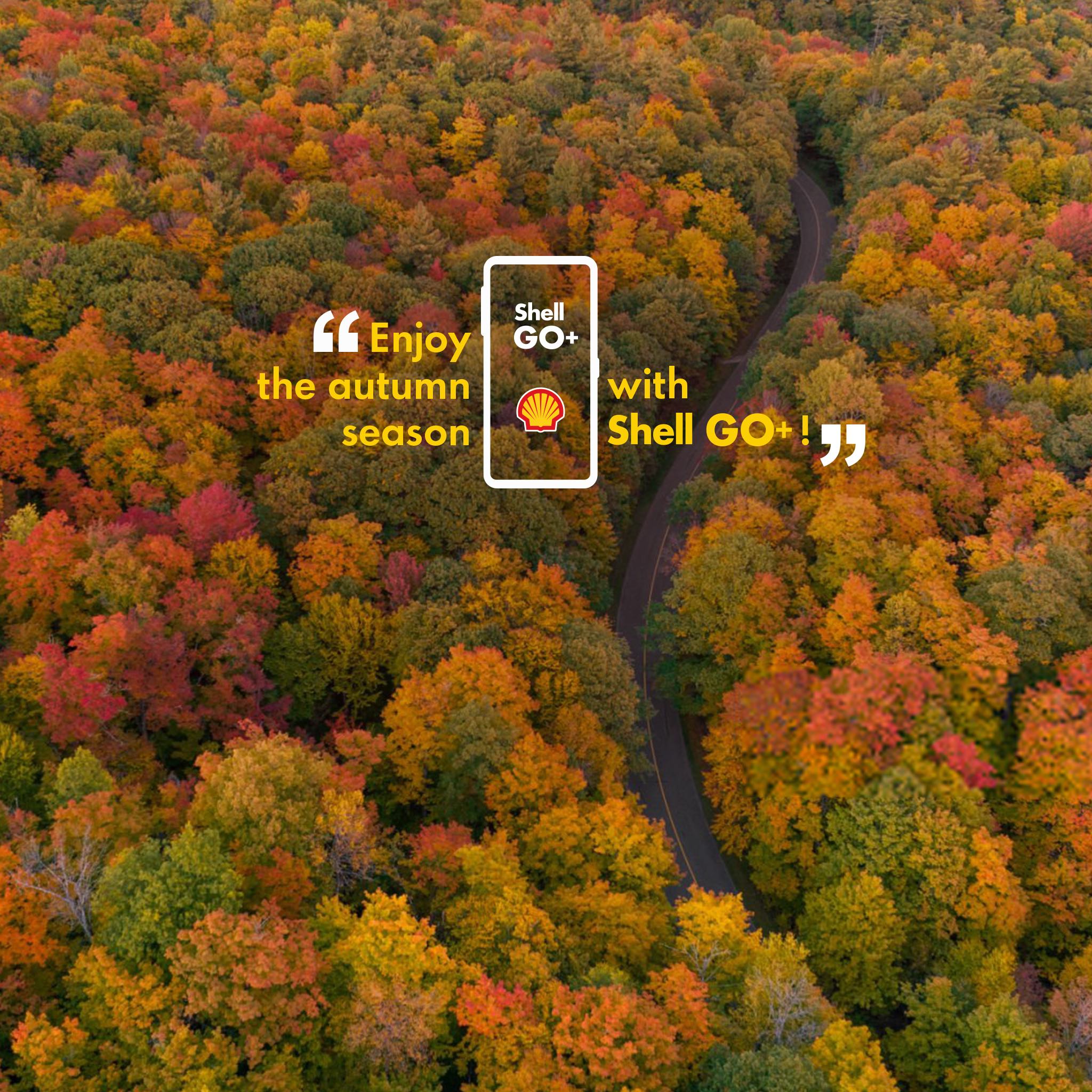 Shell GO+: nieuwe mijlpaal in samenwerking Serviceplan en Shell - PUB