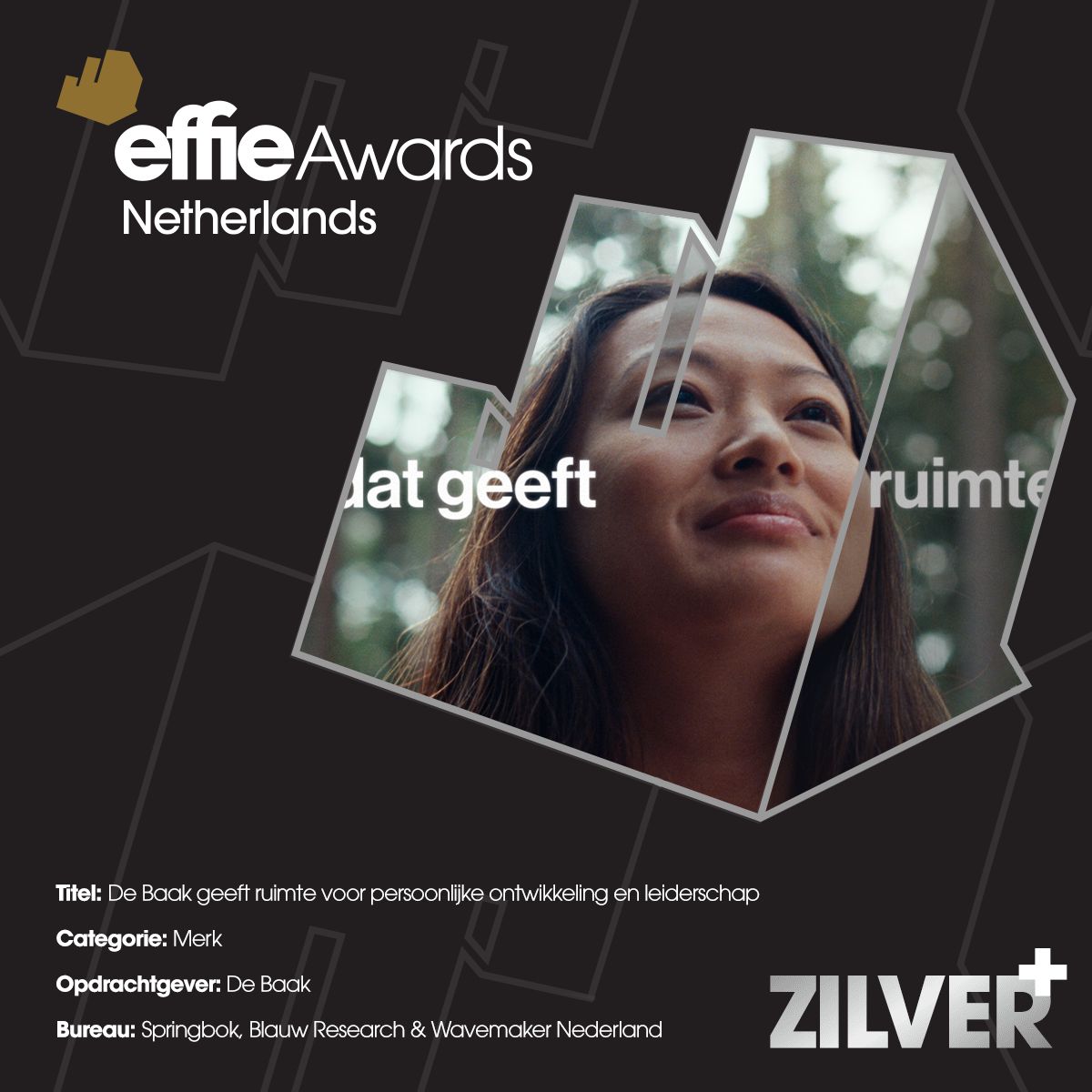 Springbok en Joe Public halen 30% van Nederlandse Effies binnen - PUB