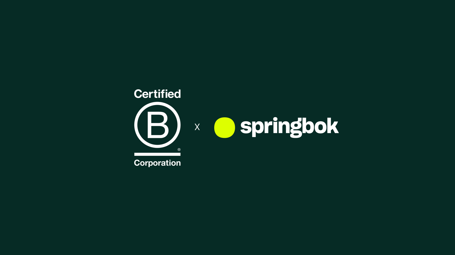 Springbok reçoit le label BCorp - PUB
