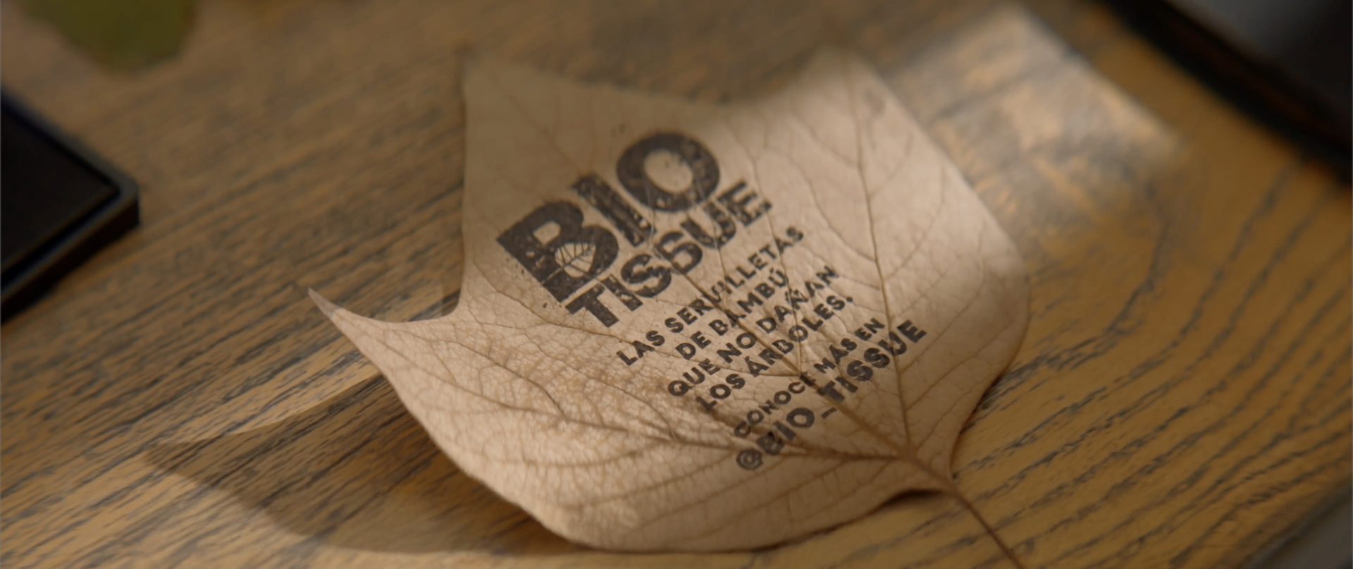 Recycleaves : quand la nature devient le média - PUB