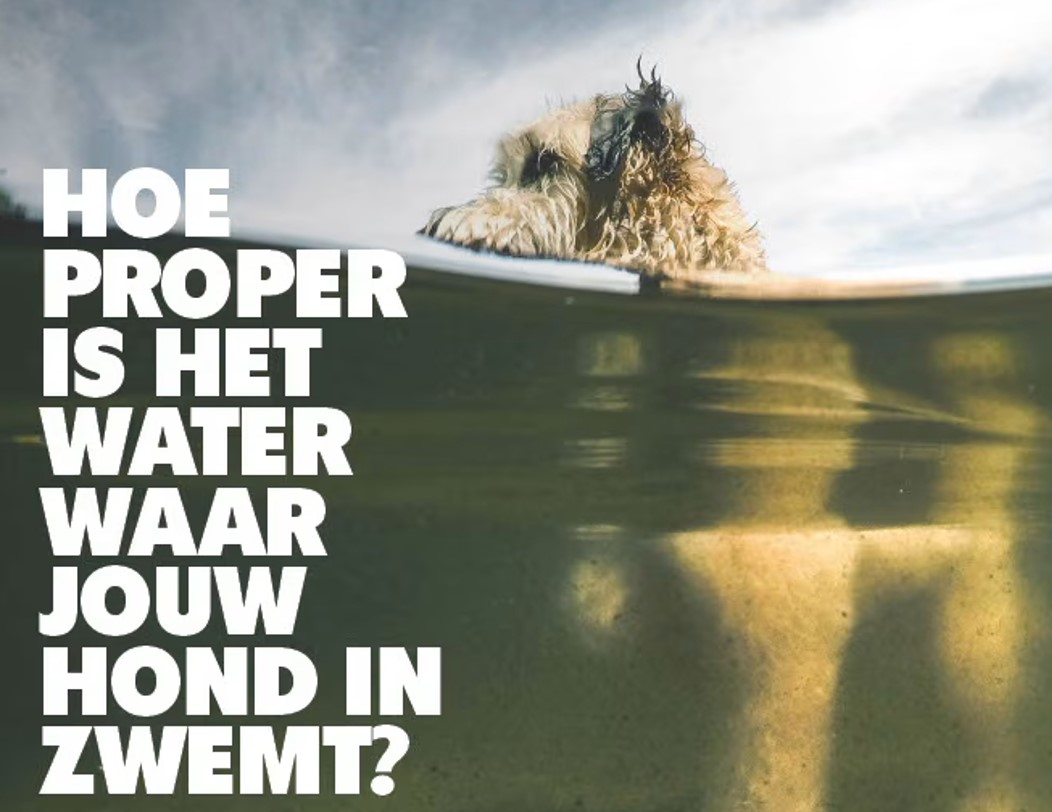 Hotel Bonka, Waterland vzw, De Standaard, KU Leuven en 5.000 ...