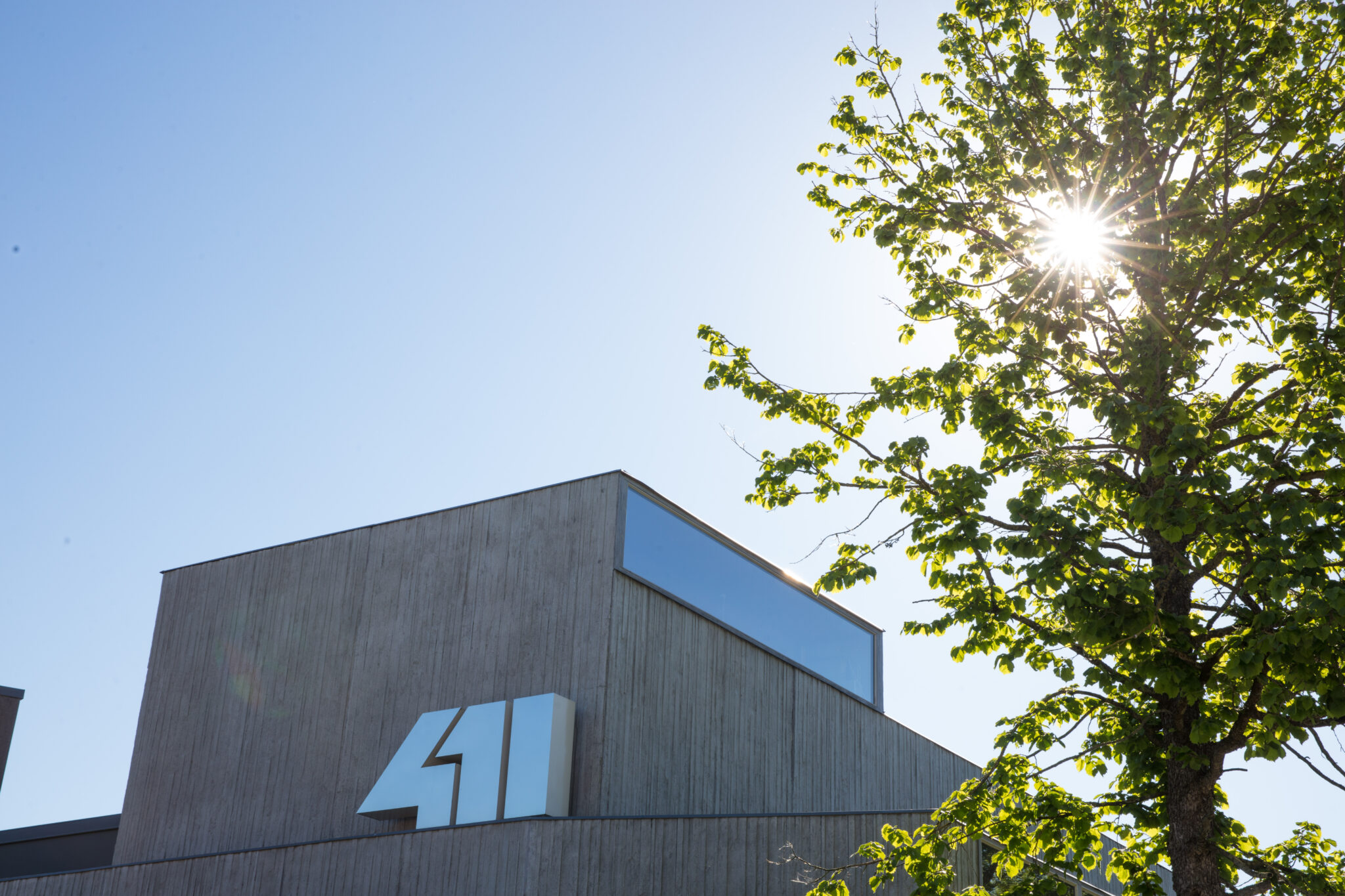 Group Daenens versterkt zich met Comma, brand strategists - PUB