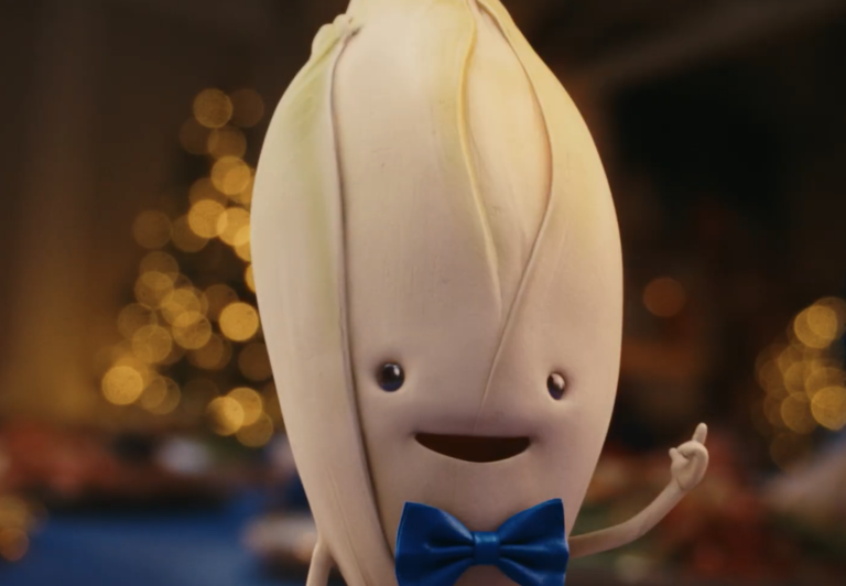 Serviceplan et ALDI font briller la fin d’année avec Gaston le Chicon - PUB