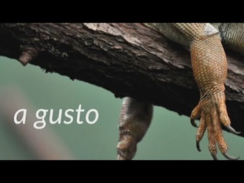 ¿Qué importancia tienen las representaciones visuales de carácter ...