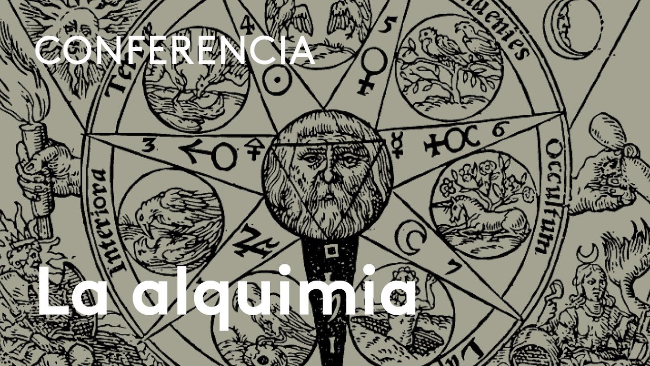 ¿Cuáles son los aspectos de la perfección humana? | Actualizado octubre ...