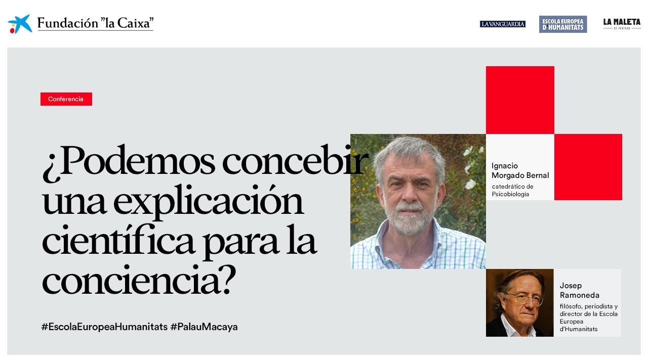 ¿Qué es lo que nos hace estar consciente? | Actualizado diciembre 2025