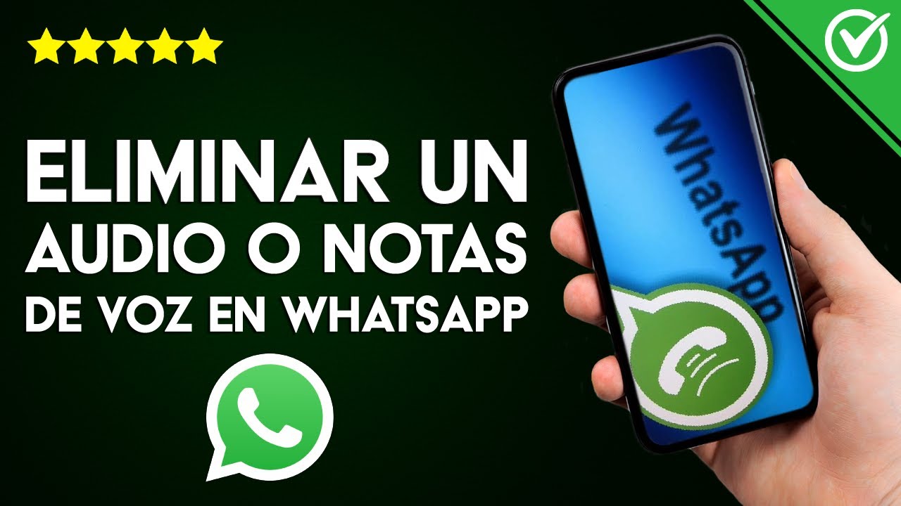Como borrar los audios de whatsapp en android | Actualizado septiembre 2025