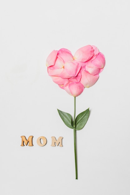 La Flor que Representa a Mamá