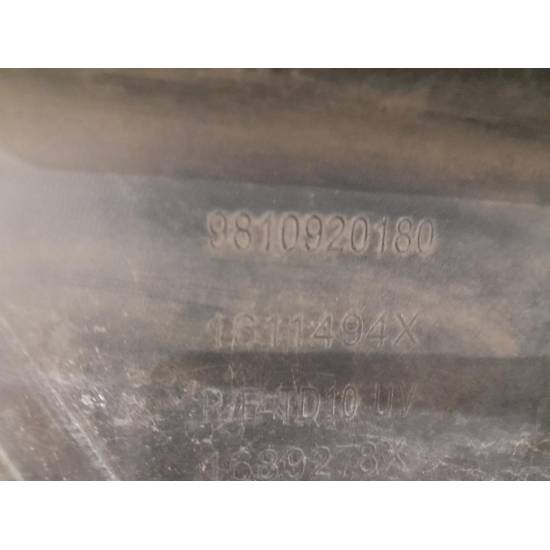 GRIGLIA ANTERIORE PEUGEOT 208 Serie 9810920180 (12>19)
