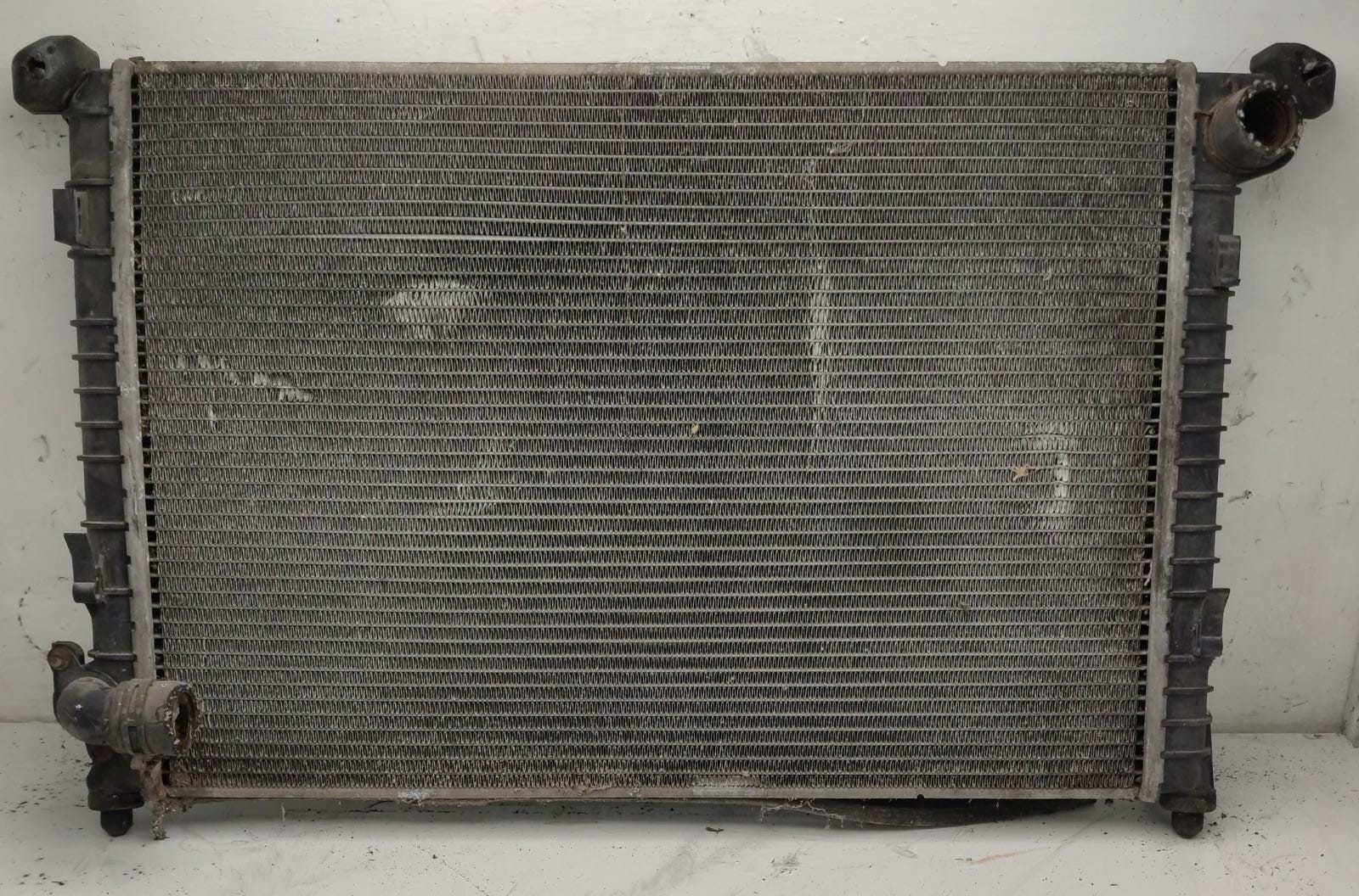 RADIATORE ACQUA MINI Cooper 1° Serie diesel 1400 (00>06)