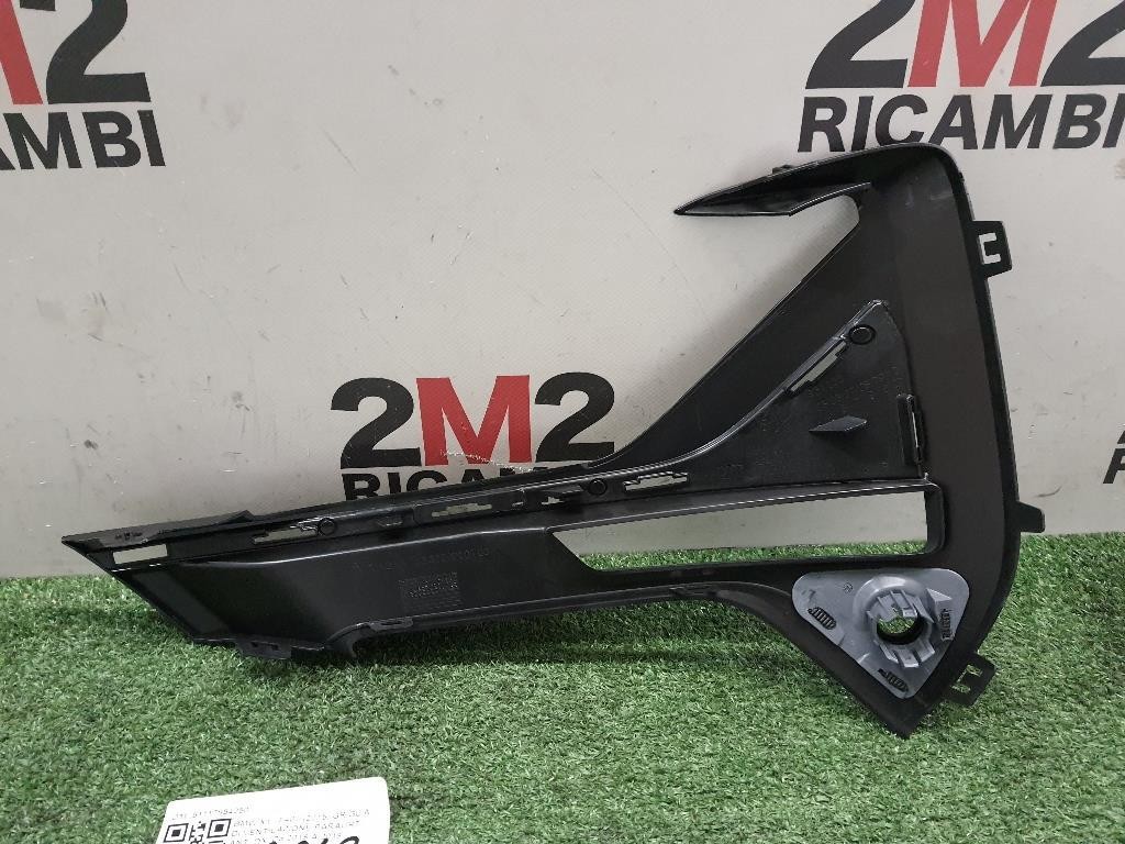 GRIGLIA PARAURTI BMW X1 Serie (F48) 51117954250 DX (15>)